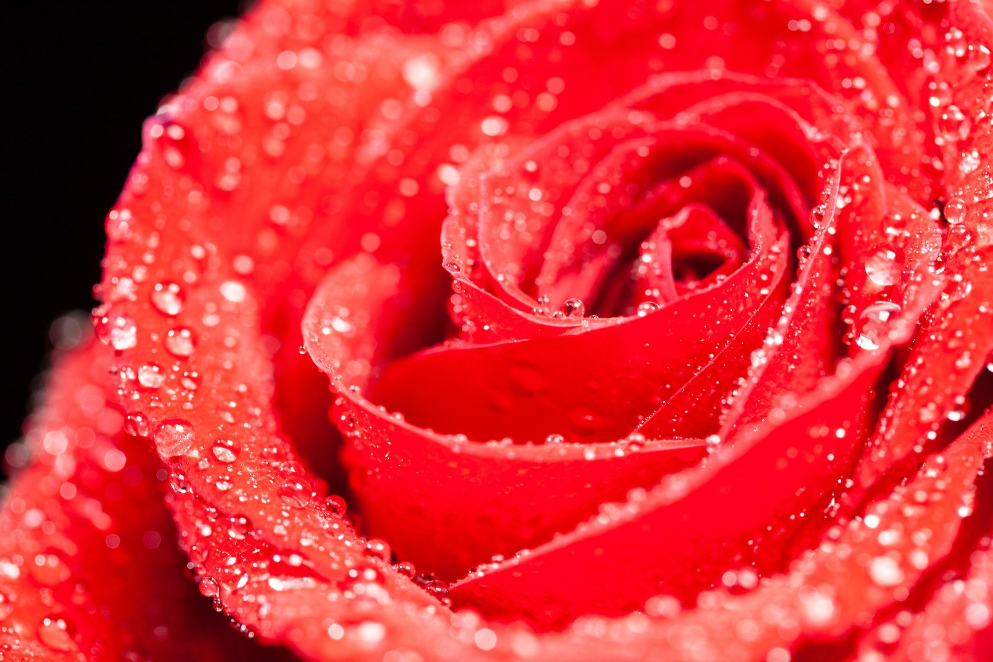 Cosas que sean de color rojo: significado y ejemplos fascinantes