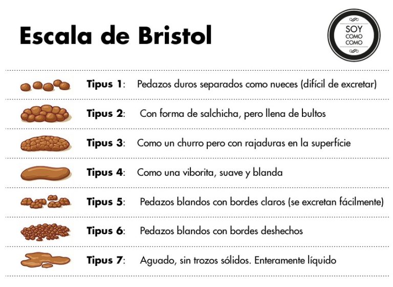 ¿De qué color debe ser las heces? Claves para tu salud digestiva