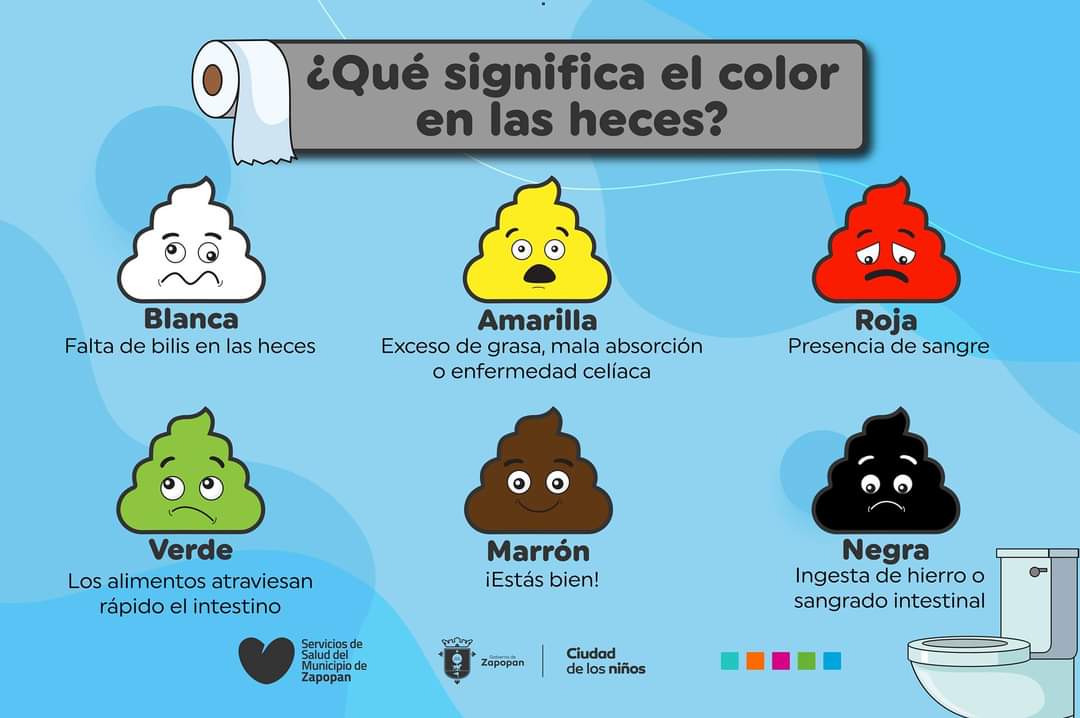 ¿De qué color deben ser las heces humanas? Significado y salud