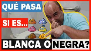 ¿Que significa el color de la caca? Claves para tu salud