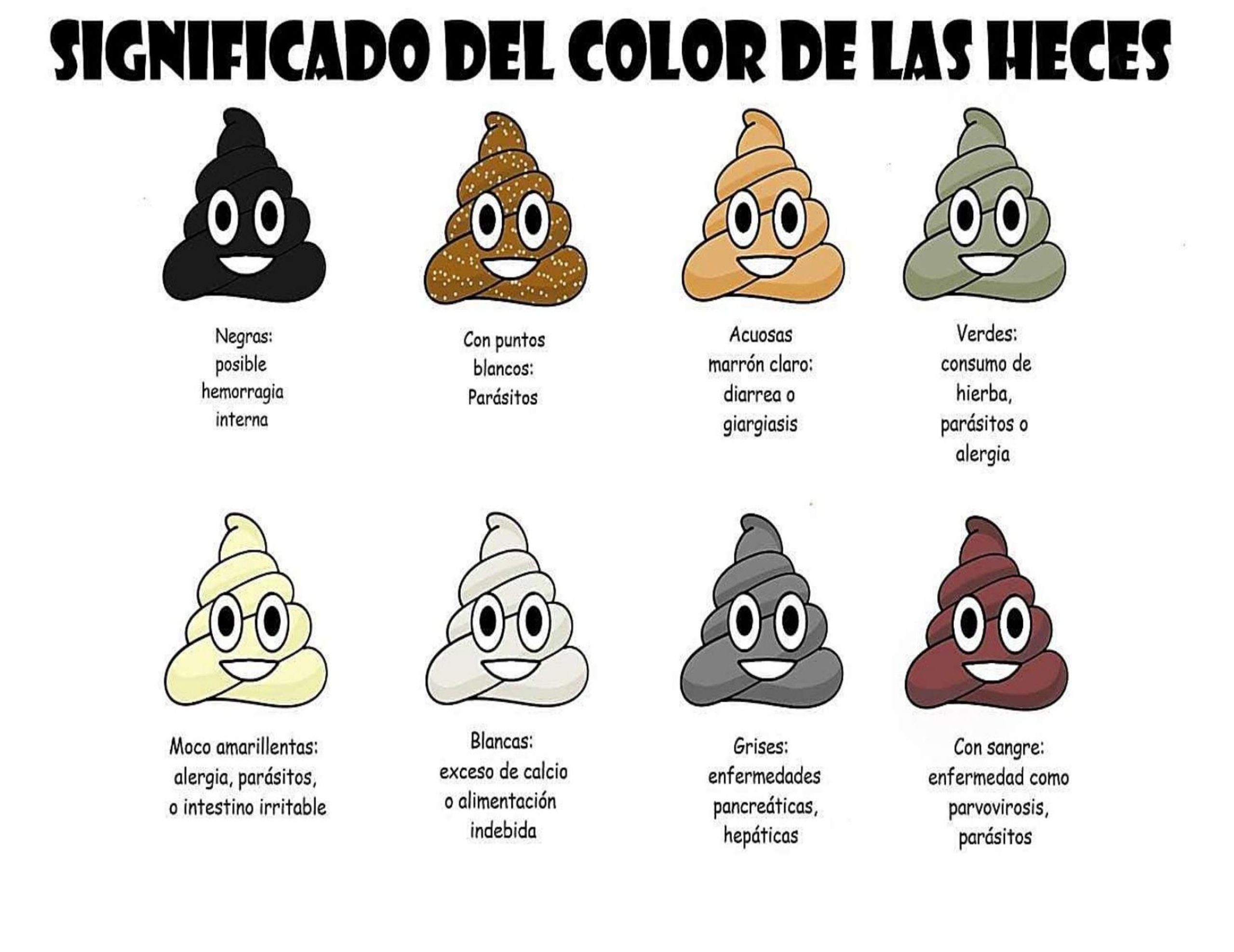 Qué significa el color de las heces blancas y sus causas